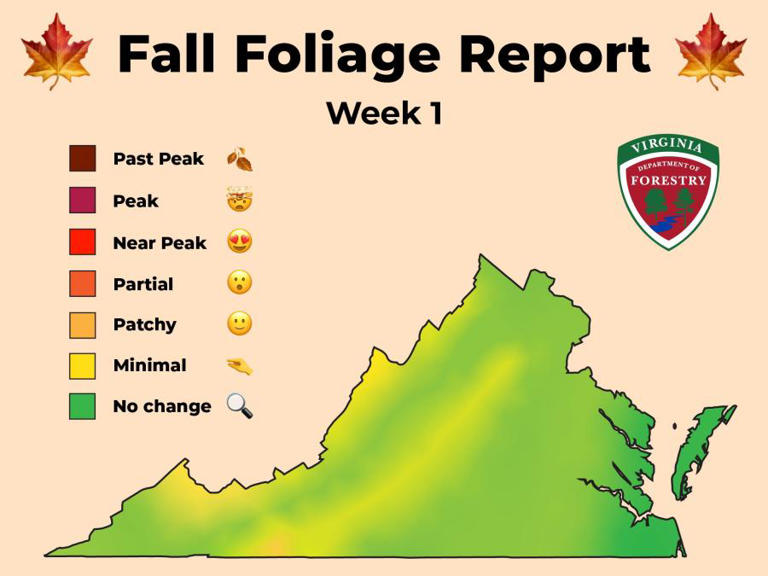 Virginia’s first fall foliage report of 2025 shows slight color changes ...