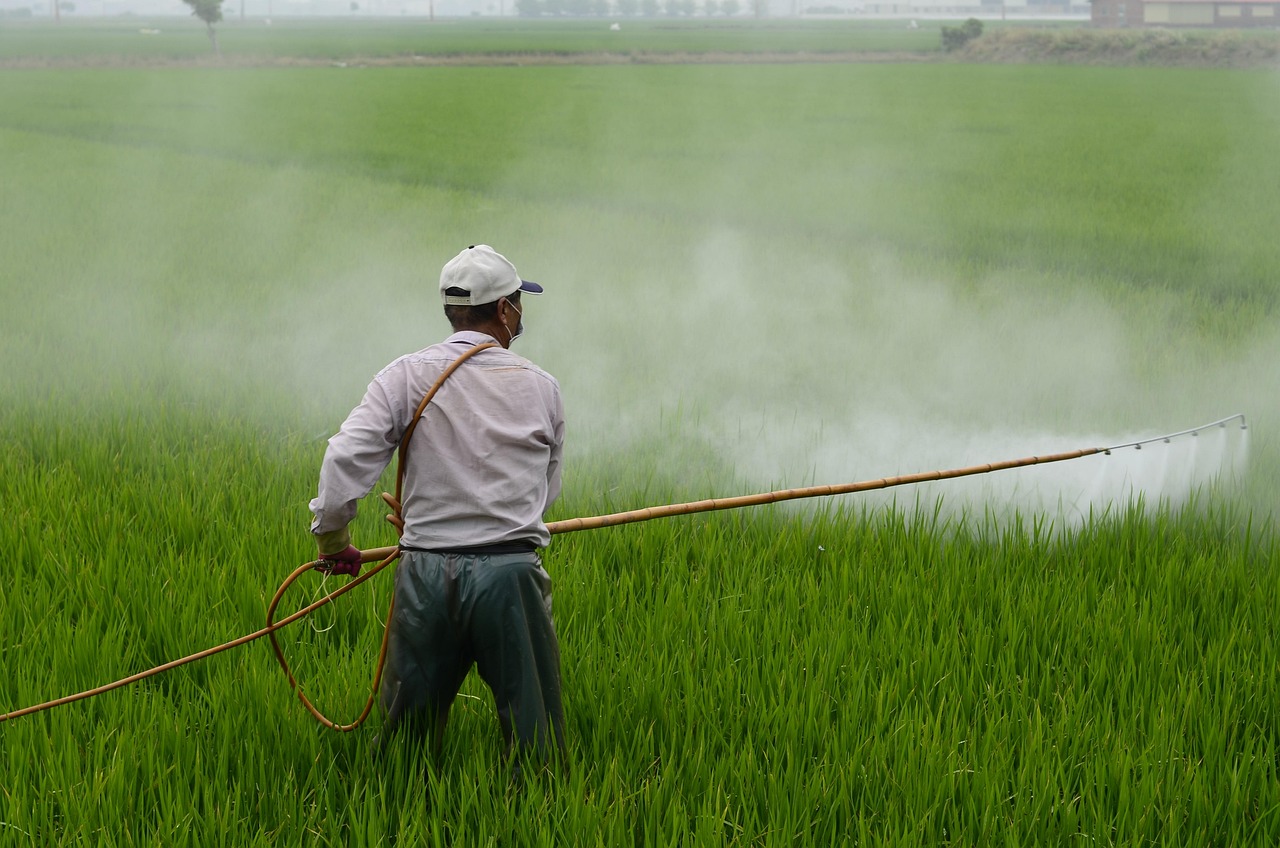 7 Myths About Organic Farming That Experts Have Debunked