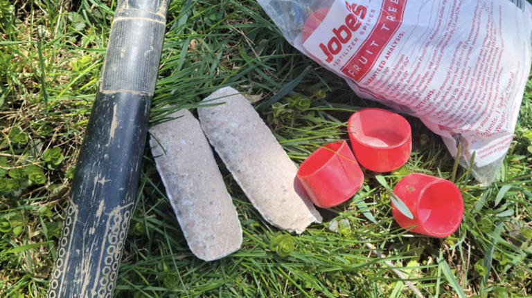 Fertilizer Spikes Are Easy To Use Around Trees, But There Are Downsides