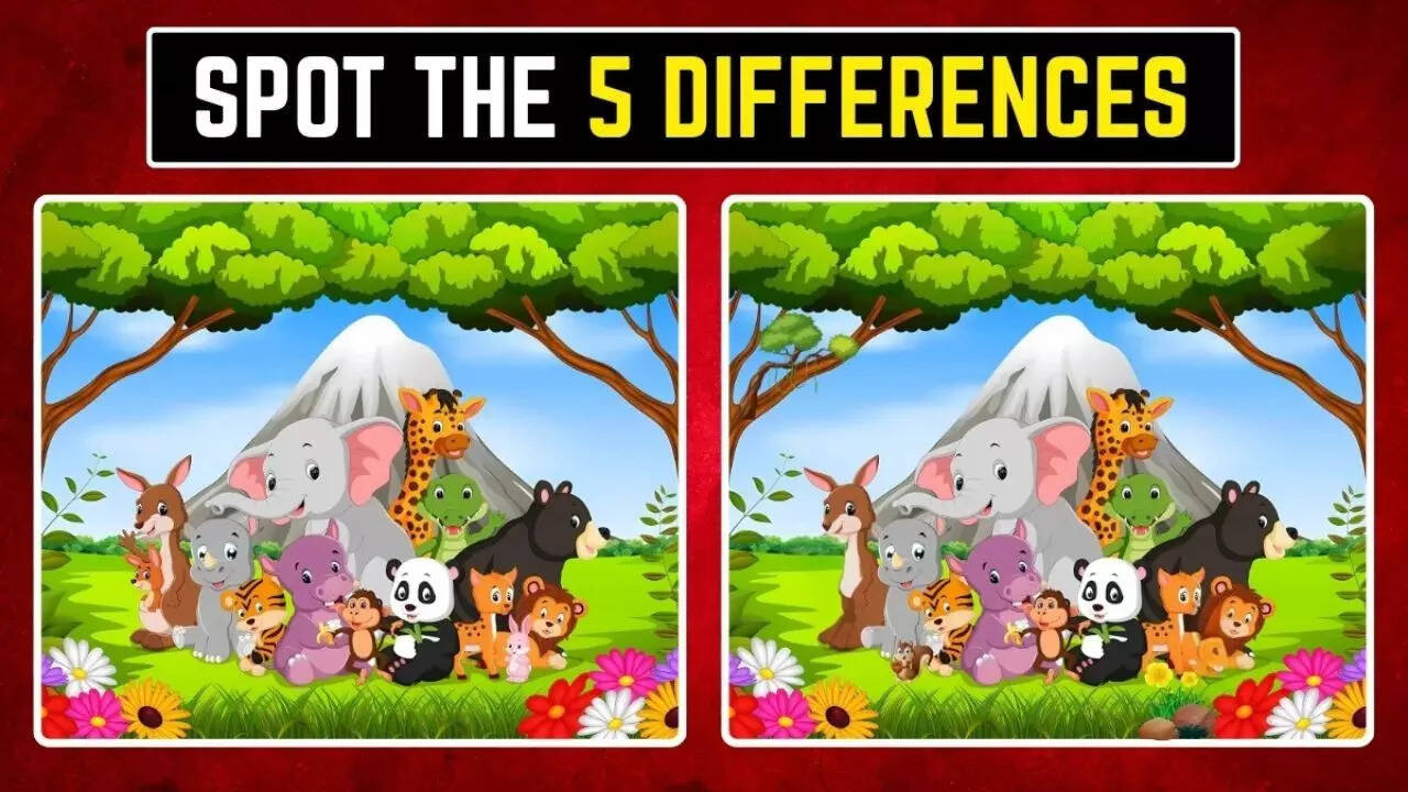 Only those with the IQ of a genius can spot 5 sneaky differences in ...