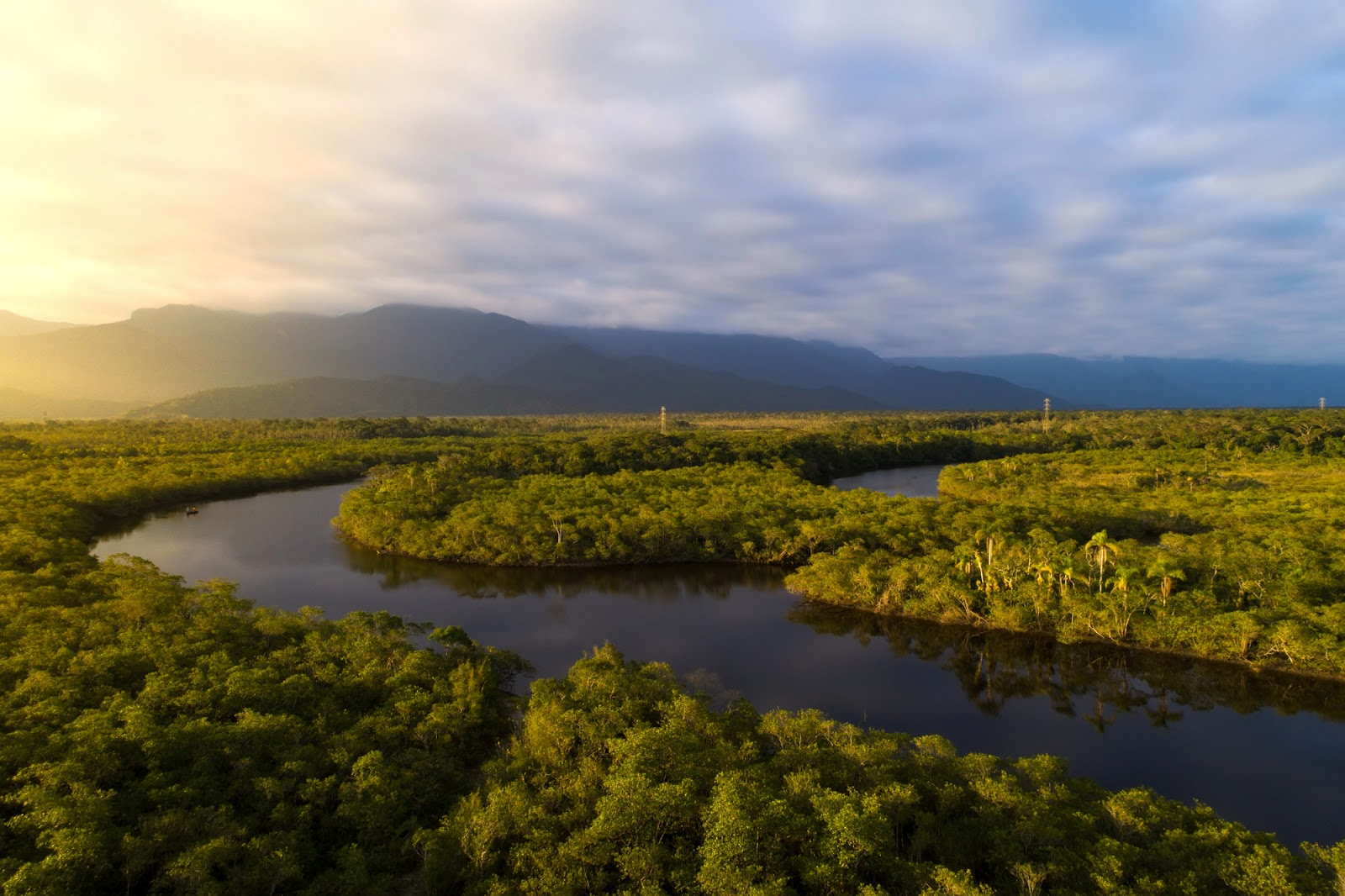 17 Amazon rainforest marvels