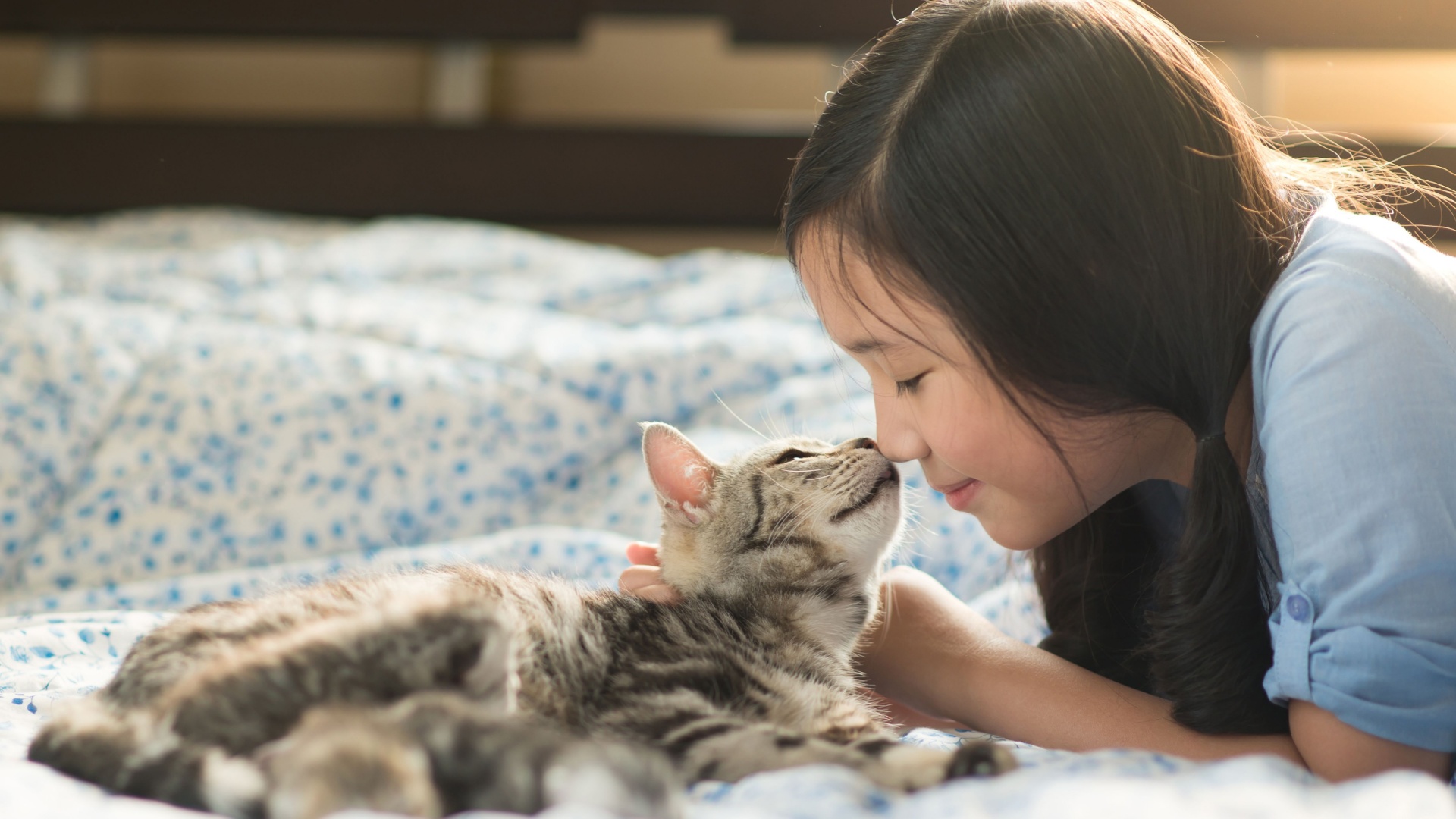 10 Signs Your Cat Thinks You’re Their Favorite Person