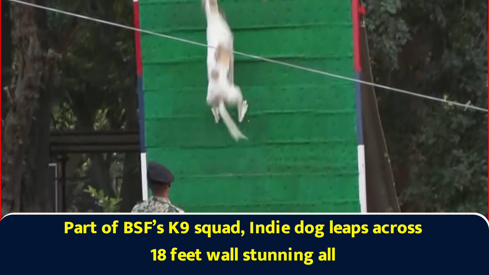 Part of BSF’s K9 squad, Indie dog leaps across 18 feet wall stunning all