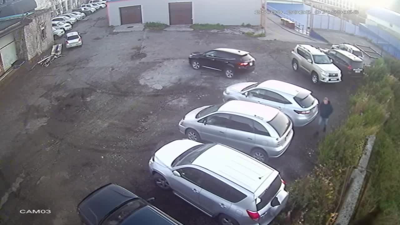 Bear charges at man and attacks car in Petropavlovsk-Kamchatsky, Russia