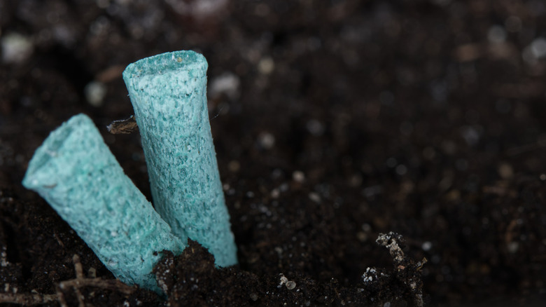 Fertilizer Spikes Are Easy To Use Around Trees, But There Are Downsides