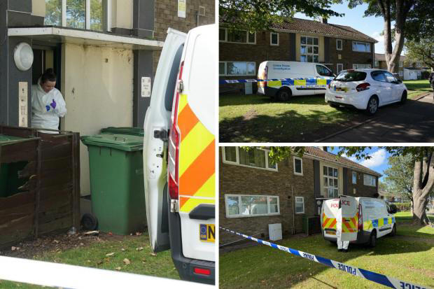 Man arrested on suspicion of murder after woman dies as police descend ...