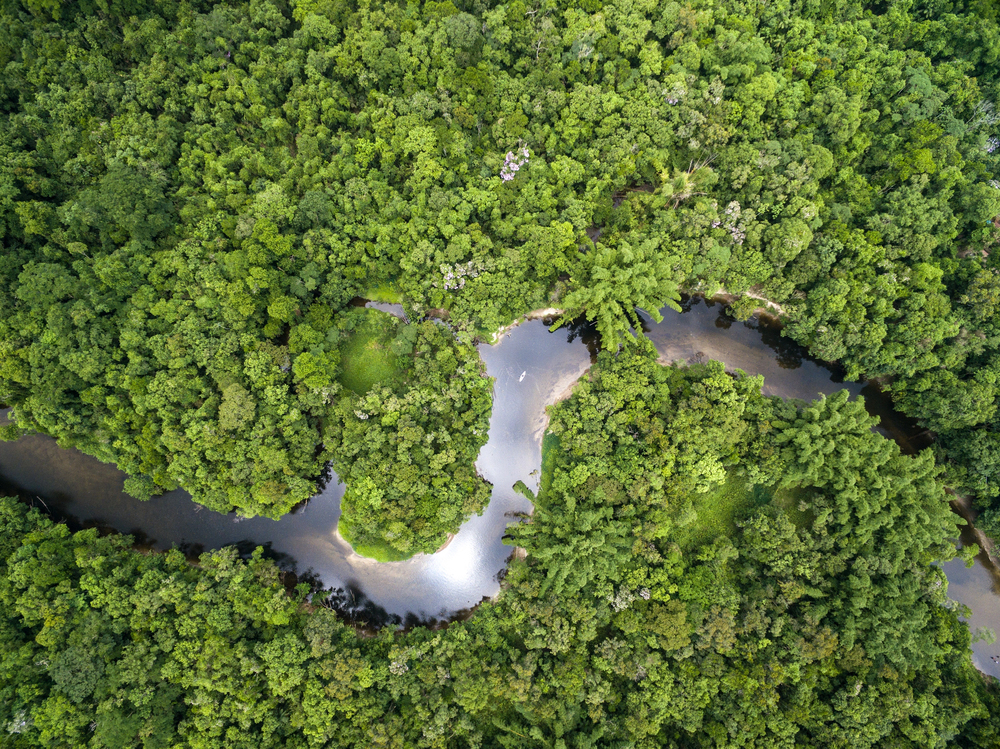 17 Amazon rainforest marvels