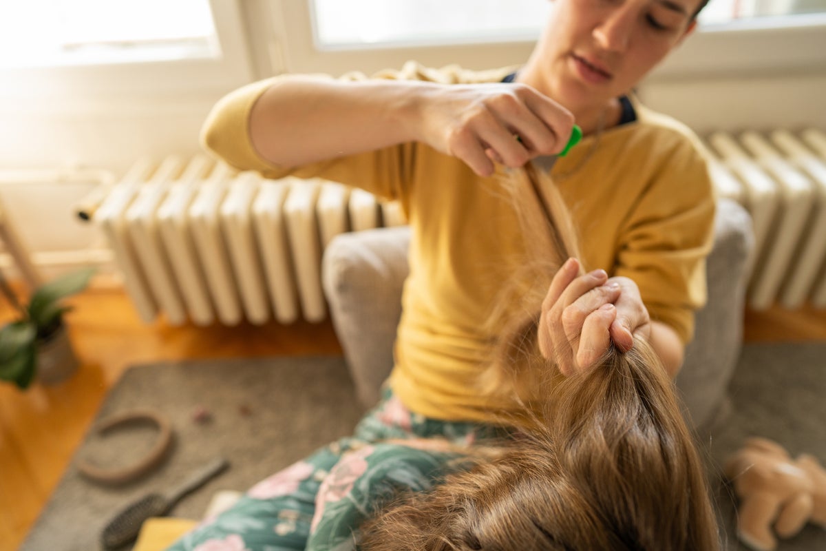Millions of children will bring lice home from school. Here’s what ...