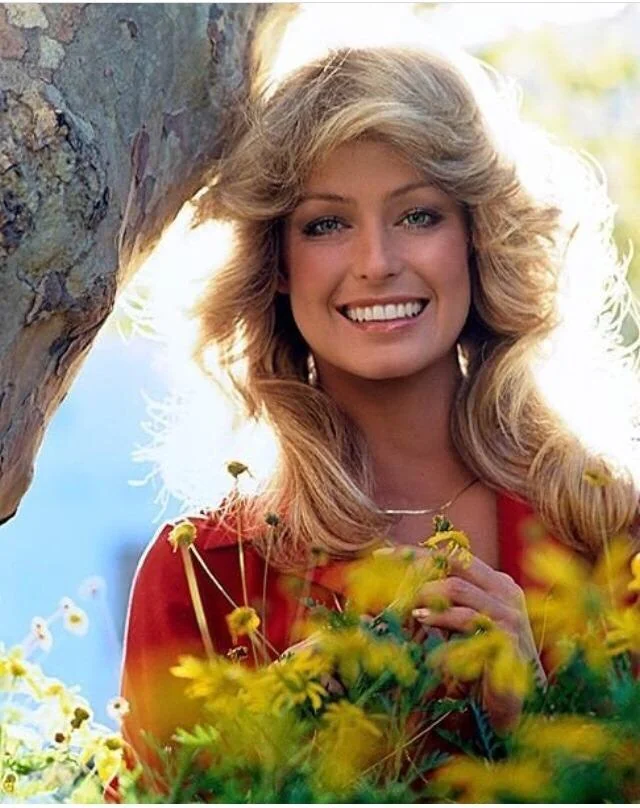 11 Actresses Everyone Had a Crush on in the ’70s