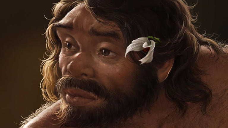 A skull unearthed in China challenges the timeline of human evolution ...