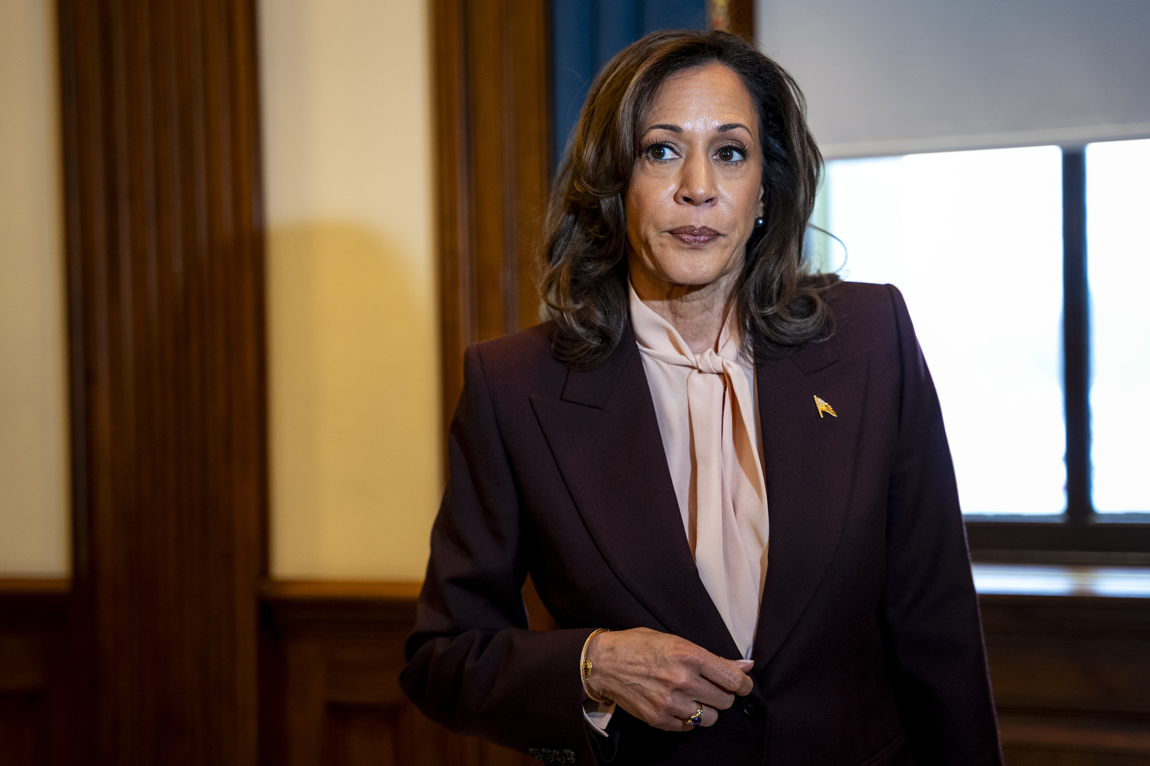 Kamala Harris’ New Book Is Full of Excuses — and Hints About Her Future