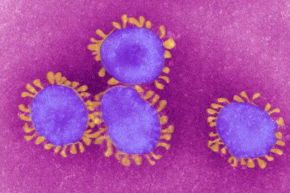 All you need to know about the new Stratus Covid variant speading across UK