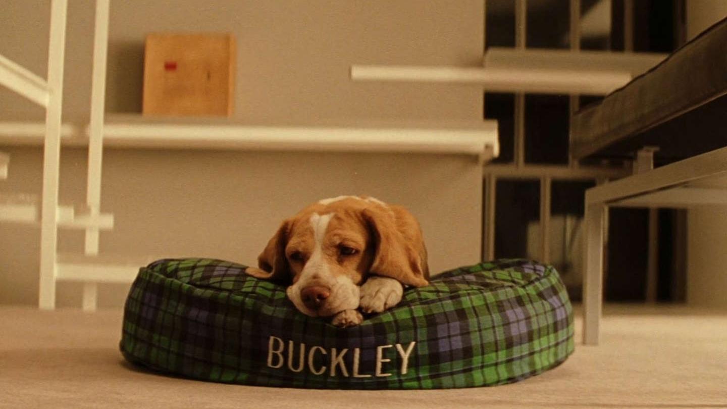 The Most Heartbreaking Animal Deaths in Cinema