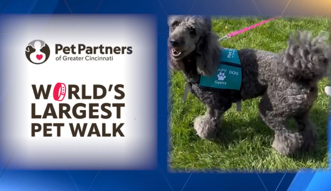 Pet owners can take part in 'World's Largest Pet Walk' in Greater ...