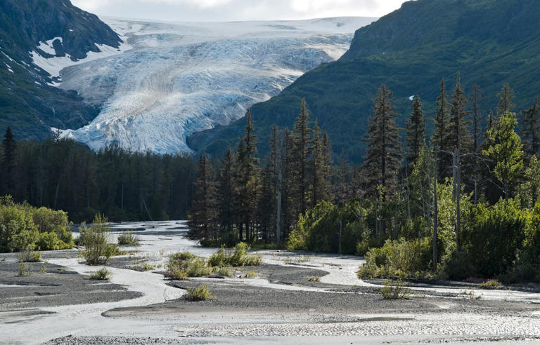 Etats-Unis : Deux randonneurs se battent contre un ours en Alaska