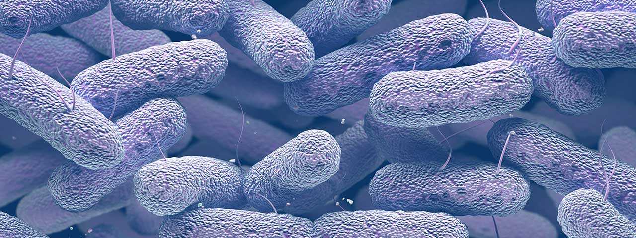 Drug-Defiant ‘Nightmare Bacteria’ Surges Across US, CDC Warns