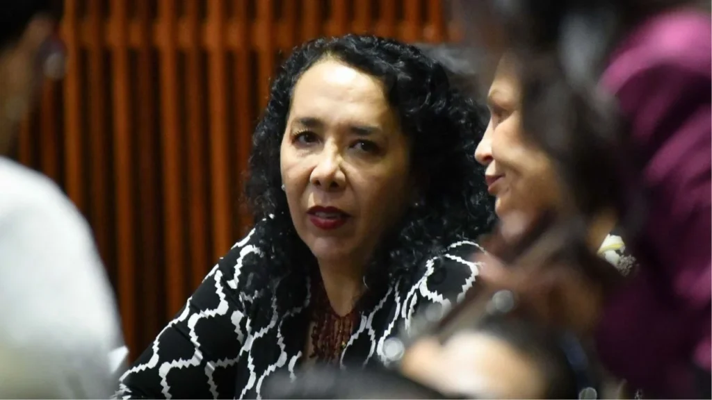 PAN exige a Hilda Brown pedir licencia y enfrente acusaciones de EU