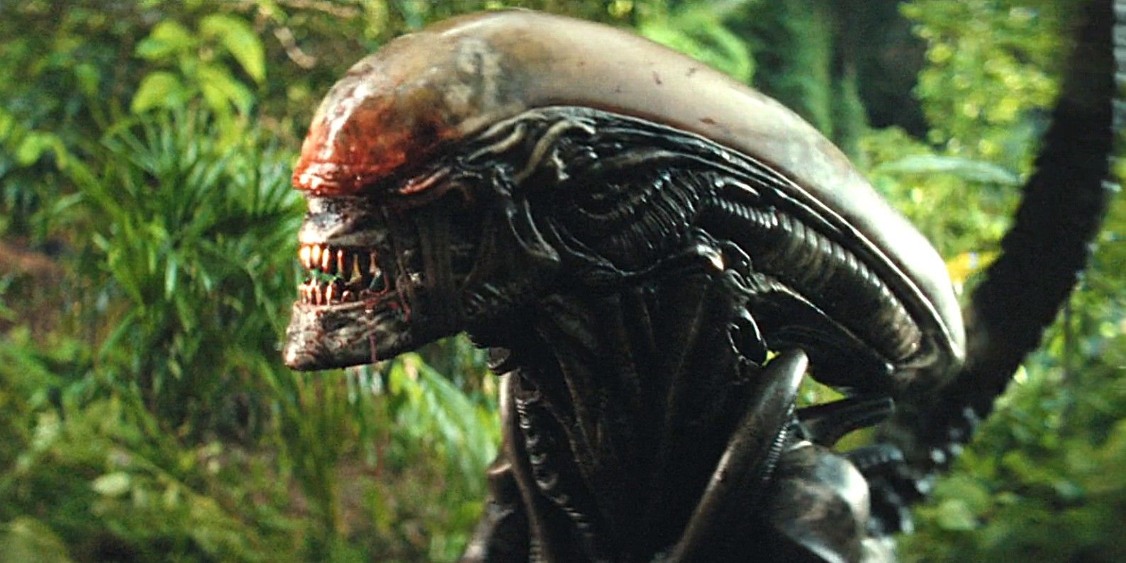 Alien: Earth Actor Discusses Noah Hawley's Xenomorph