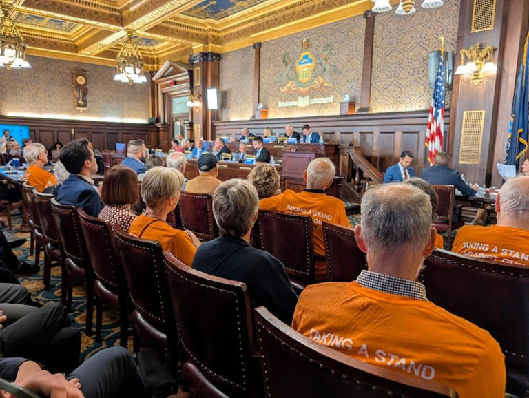 Gun safety group urges PA lawmakers to approve firearm bills