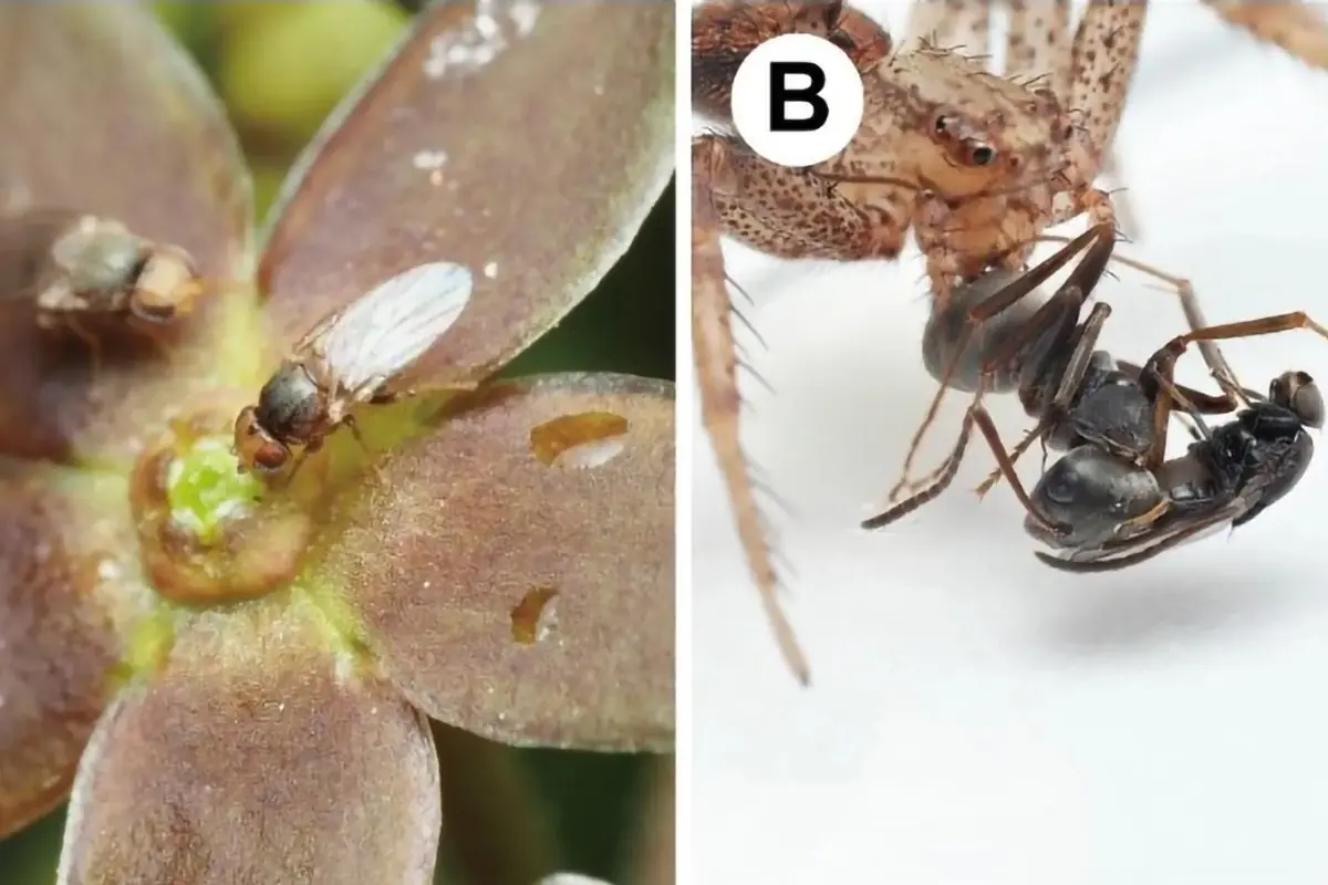 Age gaps in relationships: how much is too much?