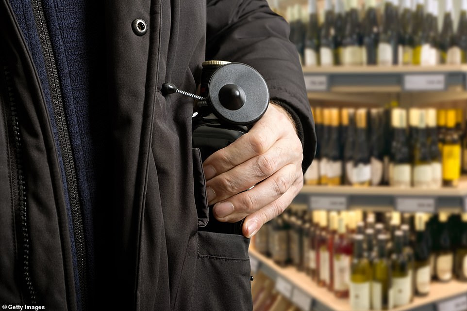 The Born Loser by Art and Chip Sansom