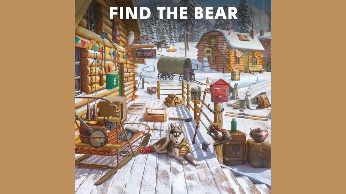 97% Fail to Find Out the Hidden Bear in this Snowy Village Optical ...