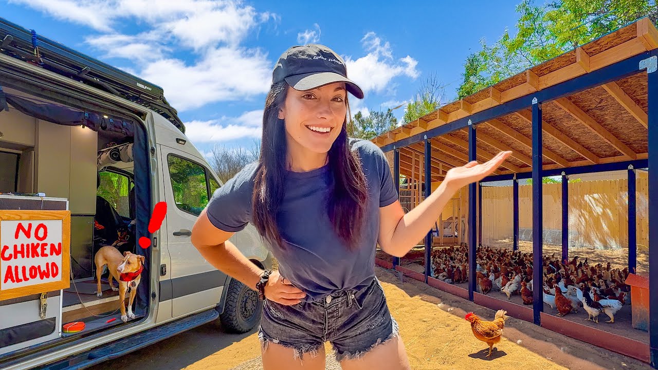 My tiny van home is smaller than my chicken's home! (Coop build final ...