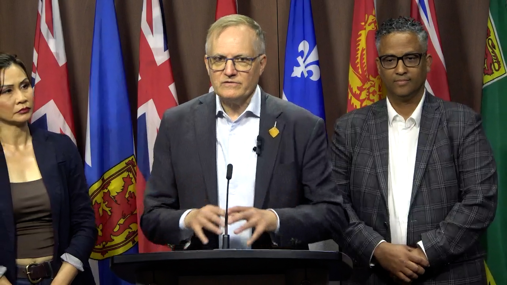 Former MPs launch volunteer effort to renew NDP