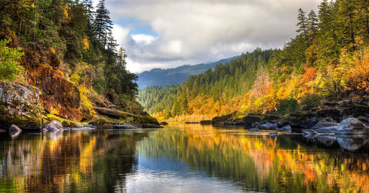 Here Are the Best Times and Places To View Oregon's Fall Foliage in 2025