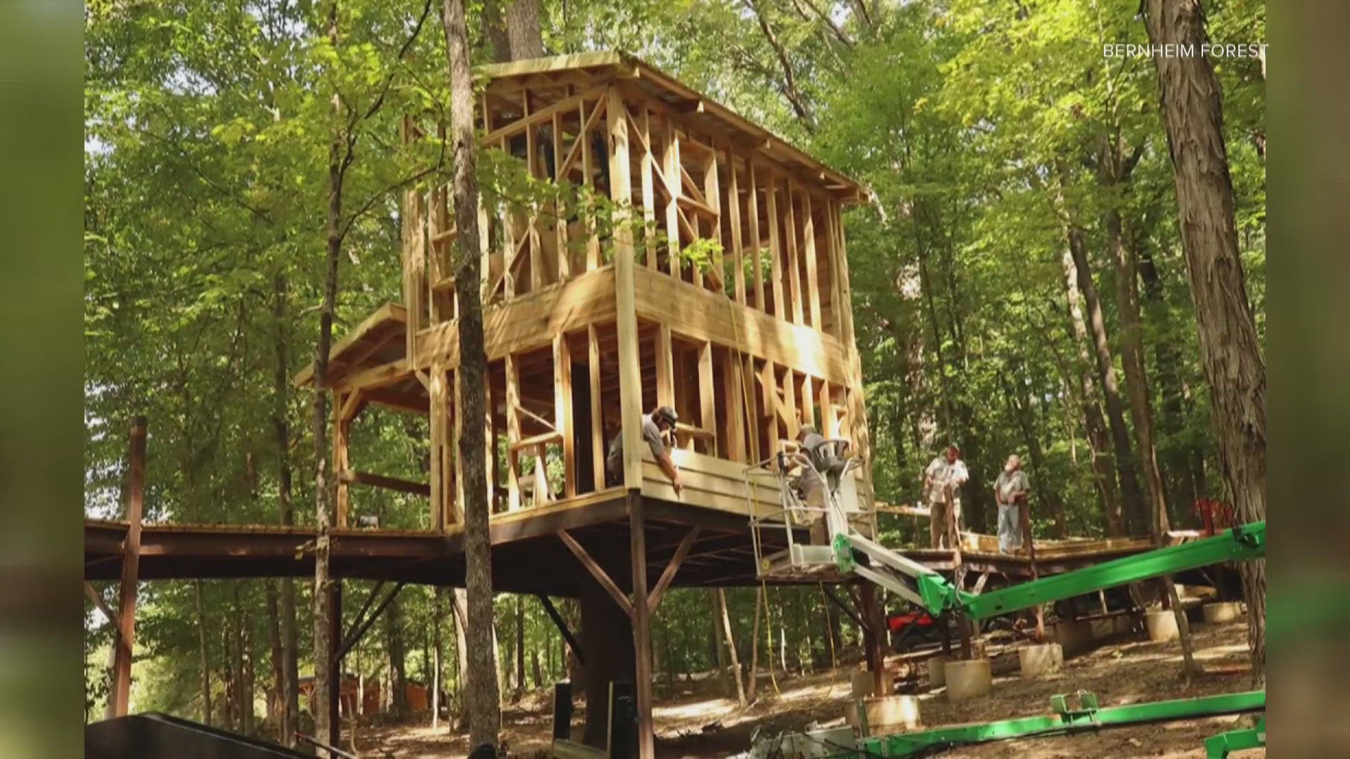 Kentucky's Bernheim Forest unveiling wheelchair accessible treehouse