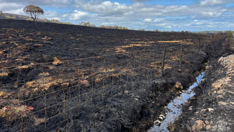 First extreme wildfire warning in September since 2020