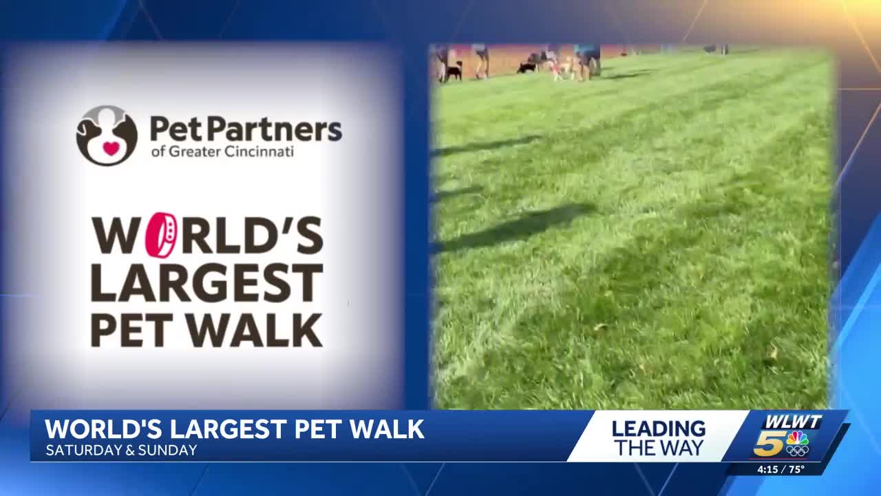 Pet owners can take part in 'World's Largest Pet Walk' in Greater ...