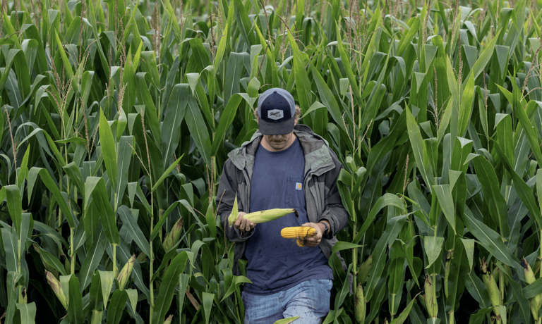 GOP senator from deep-red state admits farmers are 'very upset' by ...