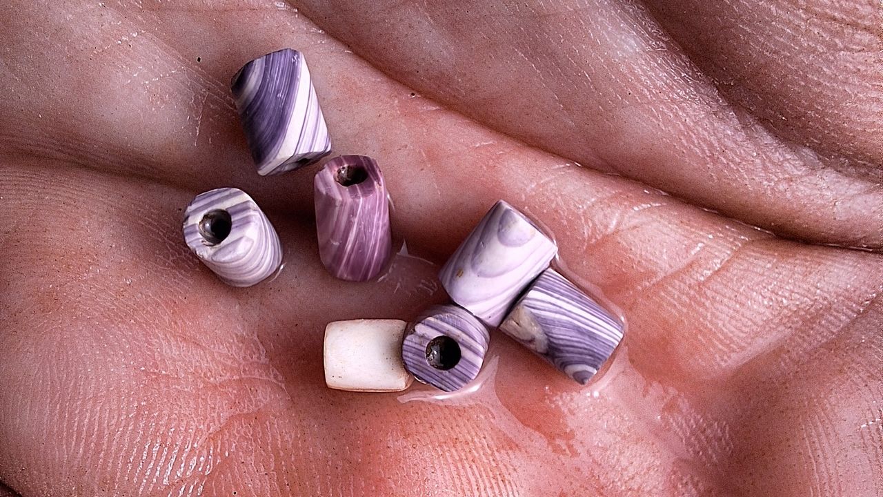 Rare wampum beads discovered at 17th-century colony in Newfoundland