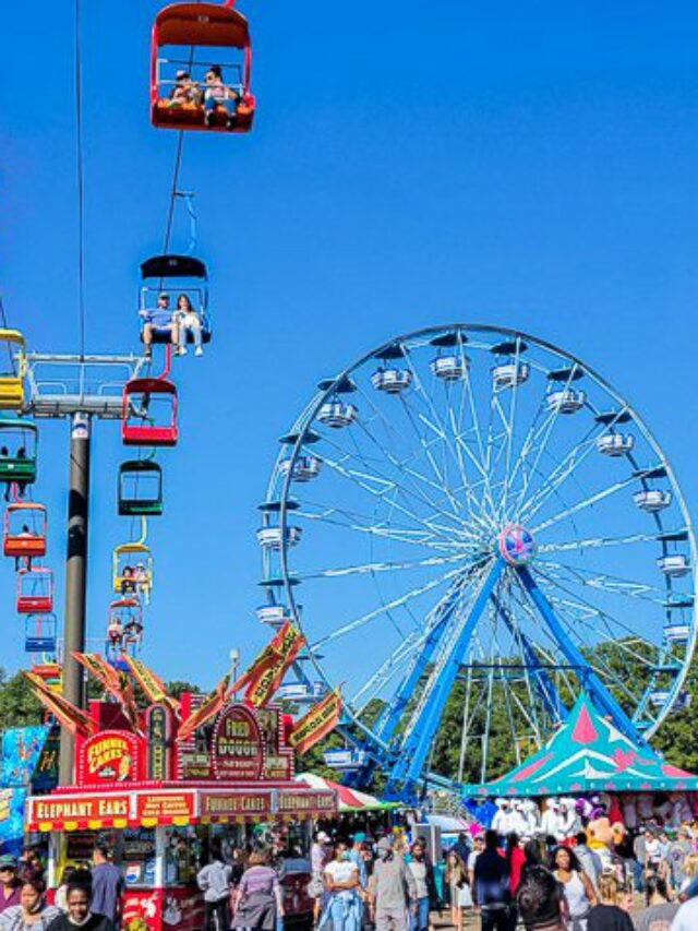 Ultimate Guide to The NC State Fair (2025): All you need to know!