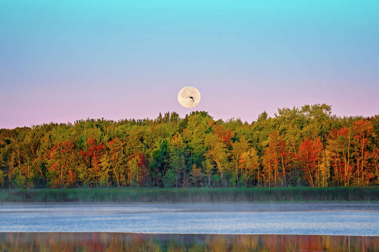 Michigan fall color report: See current colors, peak dates by region