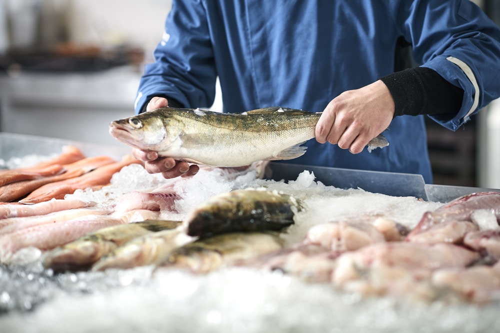 Food Poisoning Risks: 10 Expired Items to Avoid