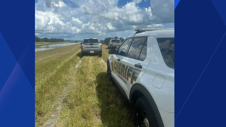 La asombrosa historia de un juego de Game Boy Color que se lanza ...