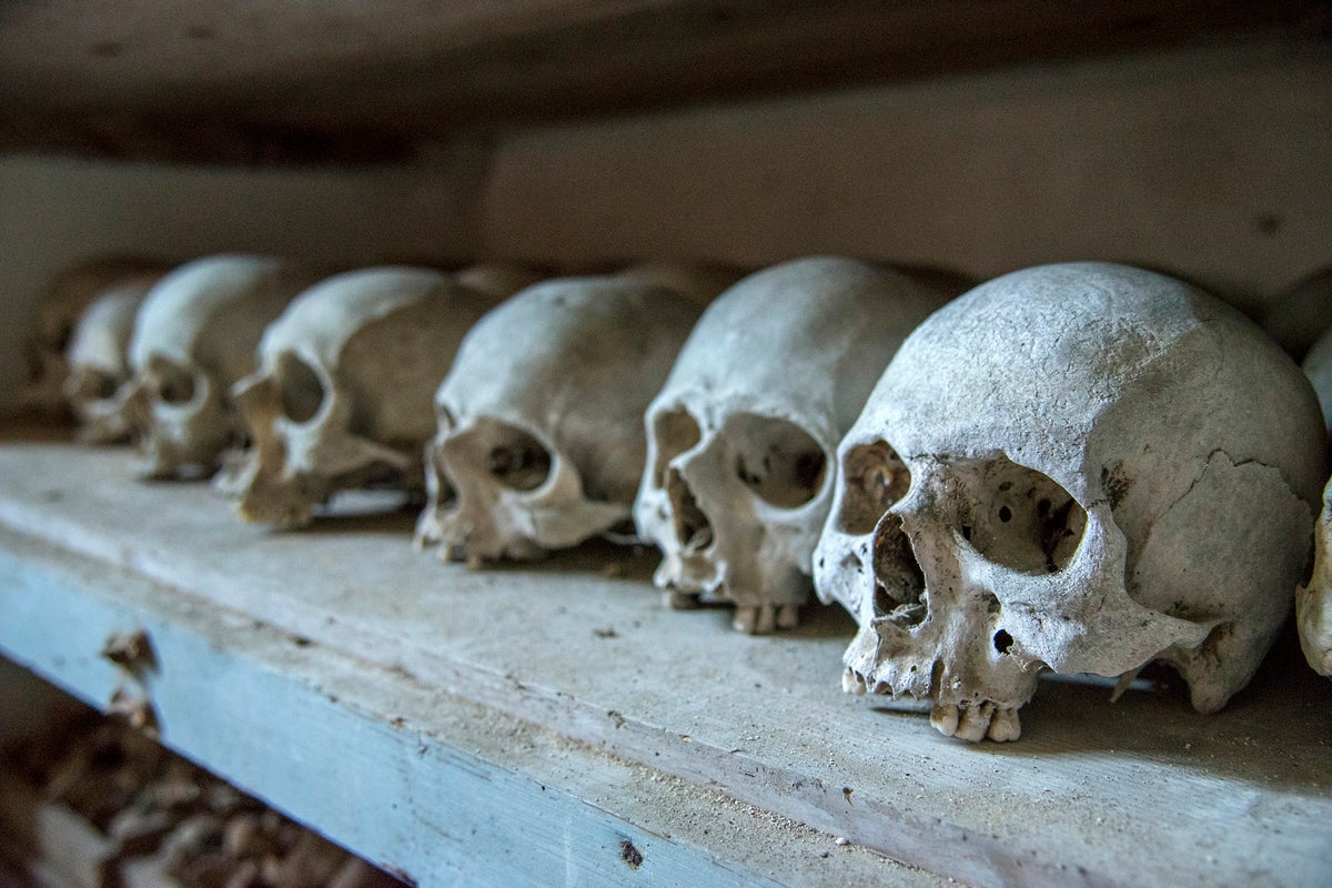 What a one million-year-old skull could reveal about human evolution
