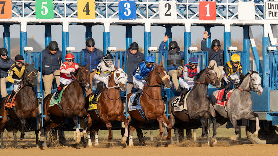 DRF Race of the Day is Belmont at the Big A’s 7th race for Friday ...