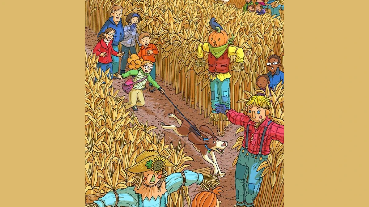 Only 3% with 4K Vision and 130+ IQ can find the Hidden Fish in 9 Seconds!