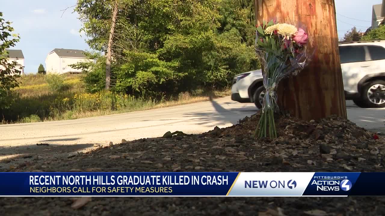 West View mourning the loss of North Hills School District grad killed ...