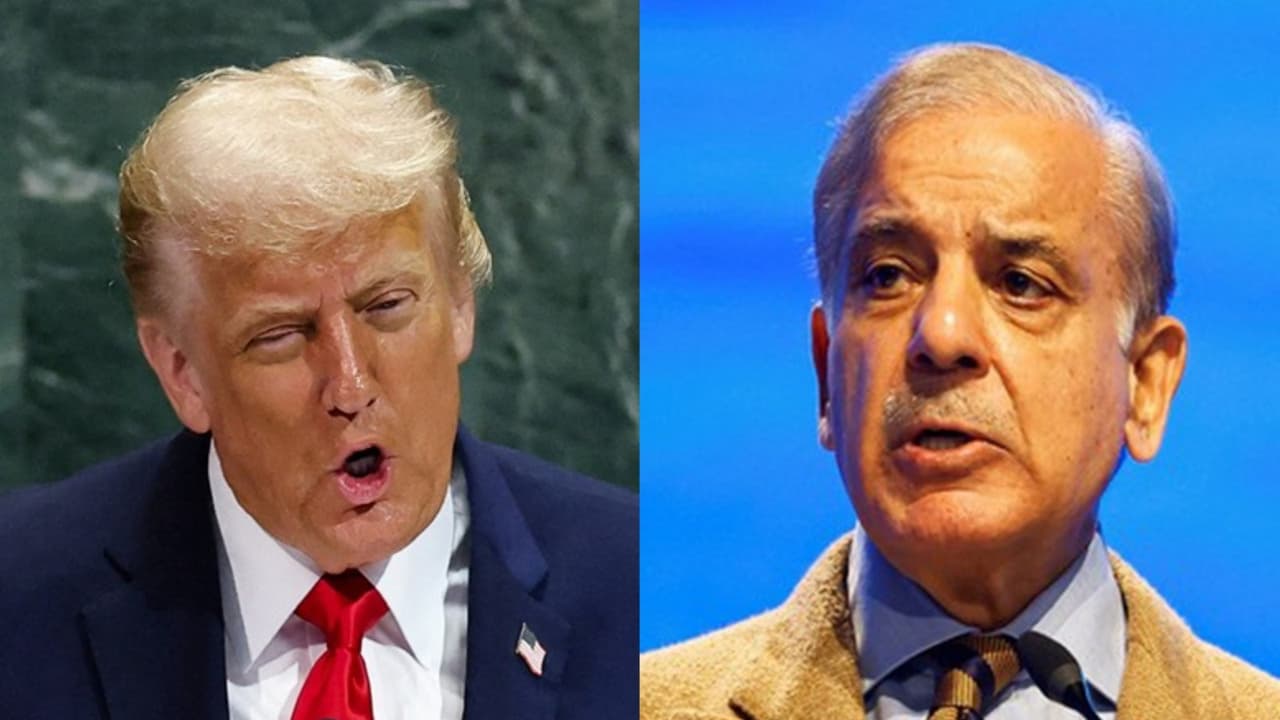 Cloud Over Trump-Sharif Meet: White House Yet To Release Official Photo ...