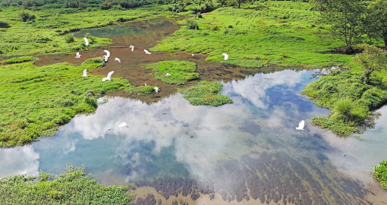 20 Sign Fails That Never Should’ve Happened in the First Place