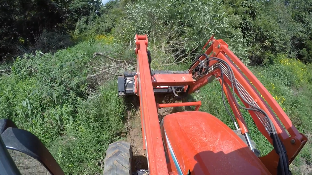 Taking Down & Uprooting a Tree in Just 2 Swipes
