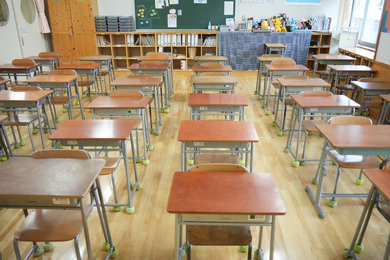 Cockroach found in central Japan school lunch after fly was mixed in ...