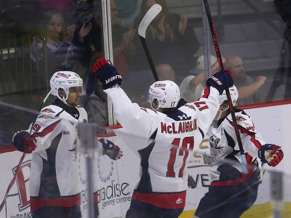 A look at some of the potential new faces in the Windsor Spitfires ...