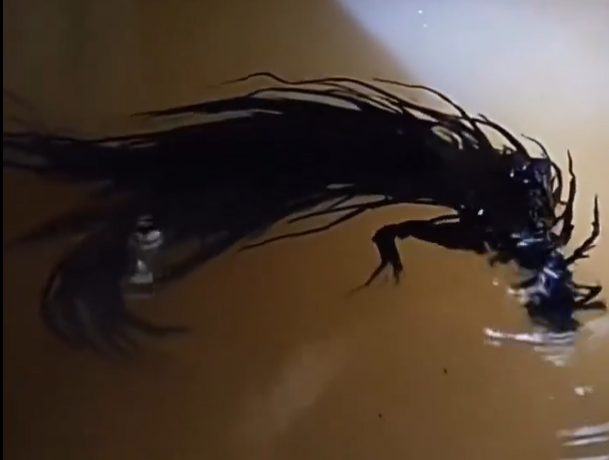 Slimy Venom like alien, walking with scary tentacles found in a ...