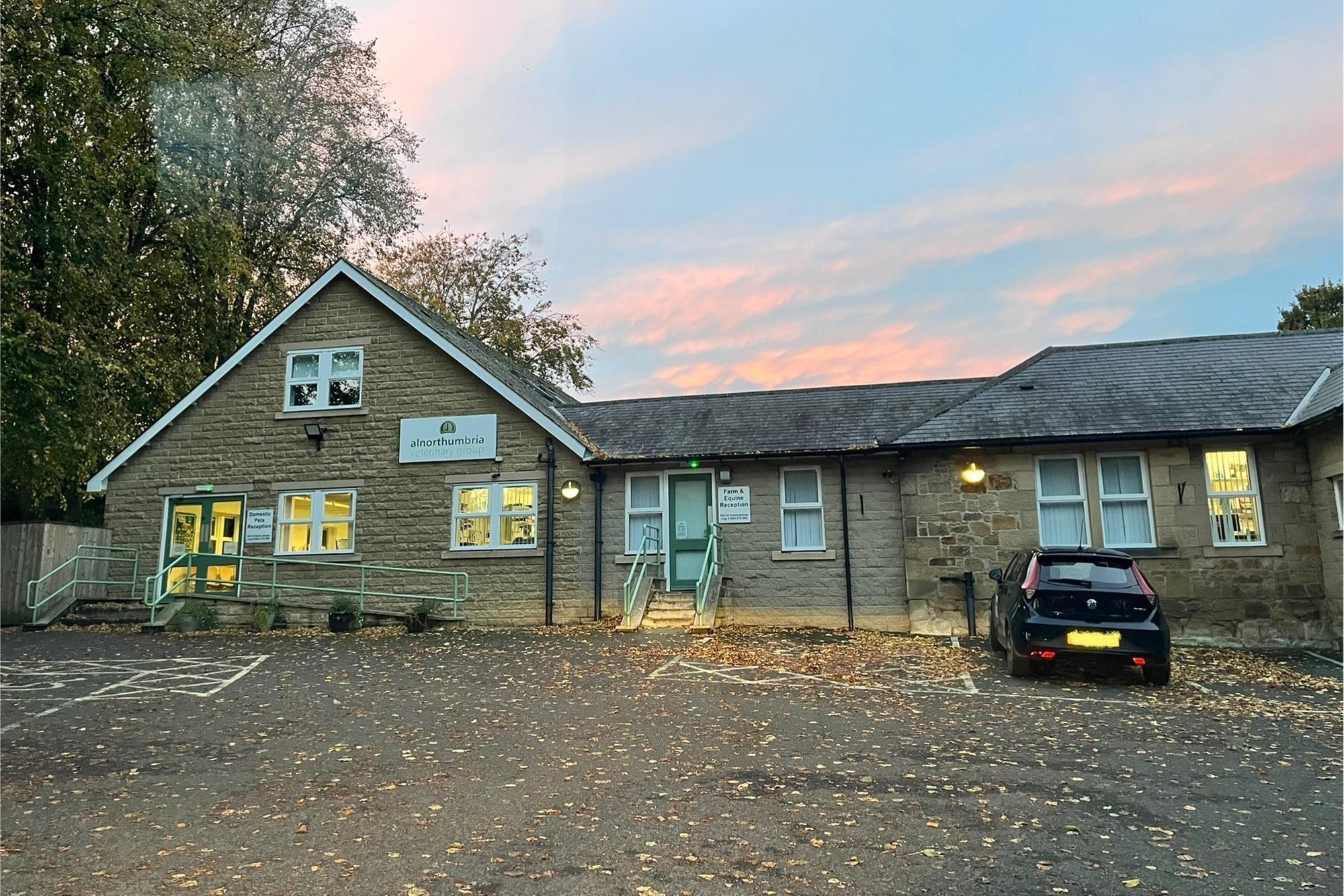 Alnorthumbria Vets: Autumn rain brings rise in laminitus concerns