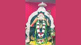 Shri Kalika Mata temple : तांबटआळी येथील भक्तांच्या हाकेला धावणारी ...